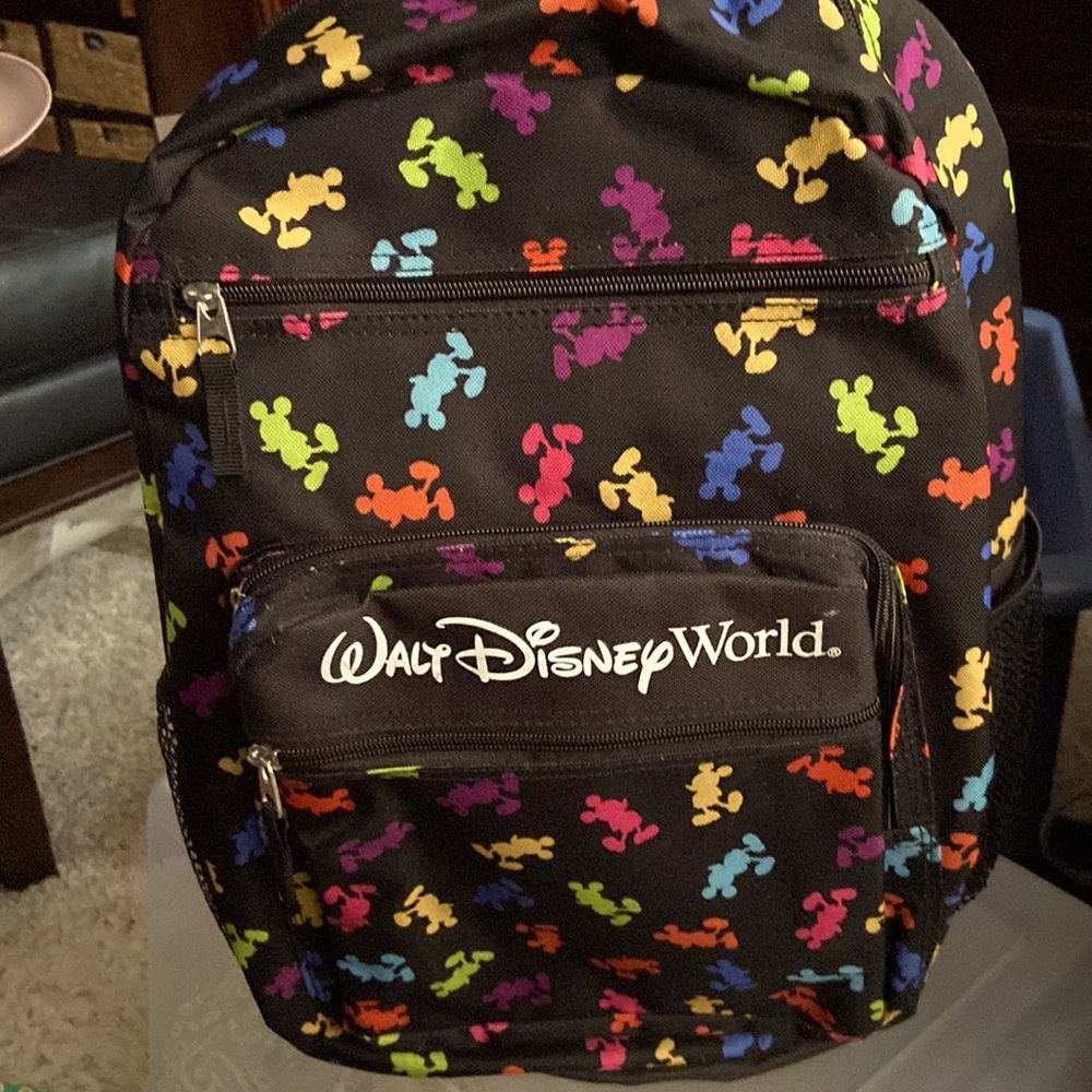 Walt Disney World Backpack - Gem